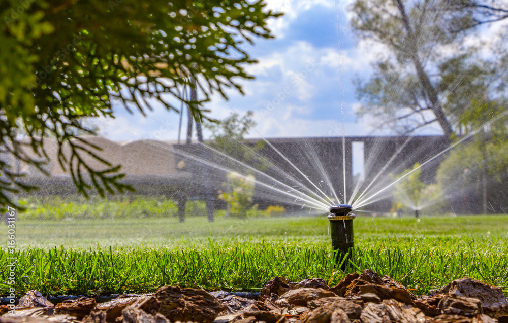 How Does a Sprinkler System Work